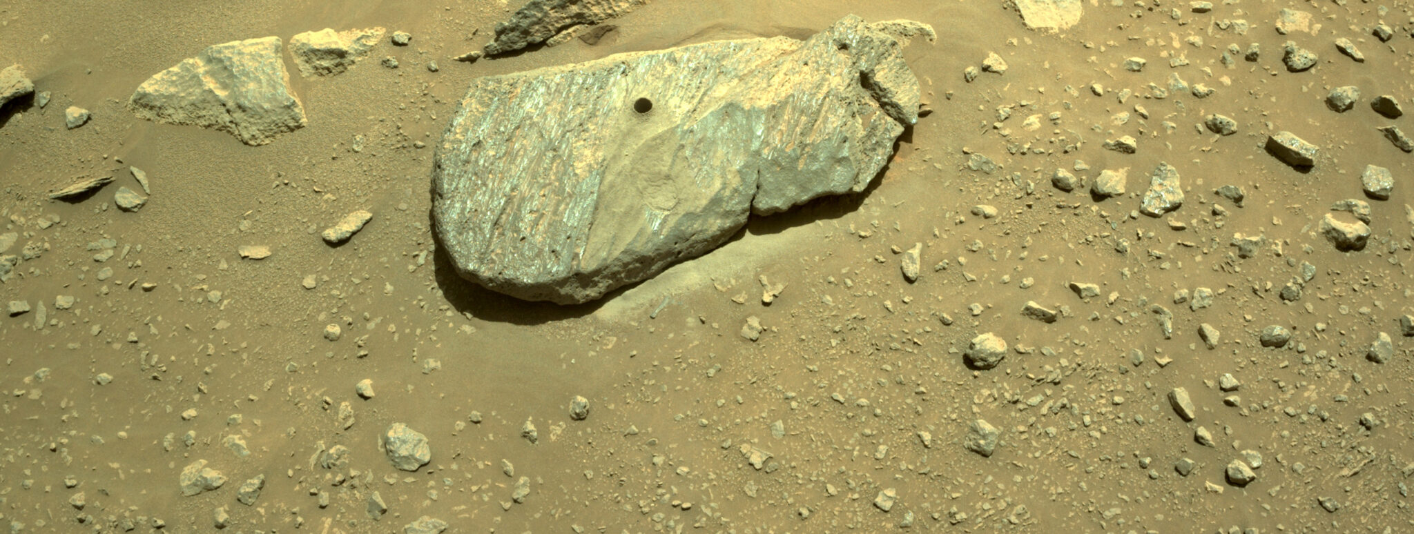 NASA's Perseverance Rover Collects First Mars Rock Sample - SPACE Curiosity